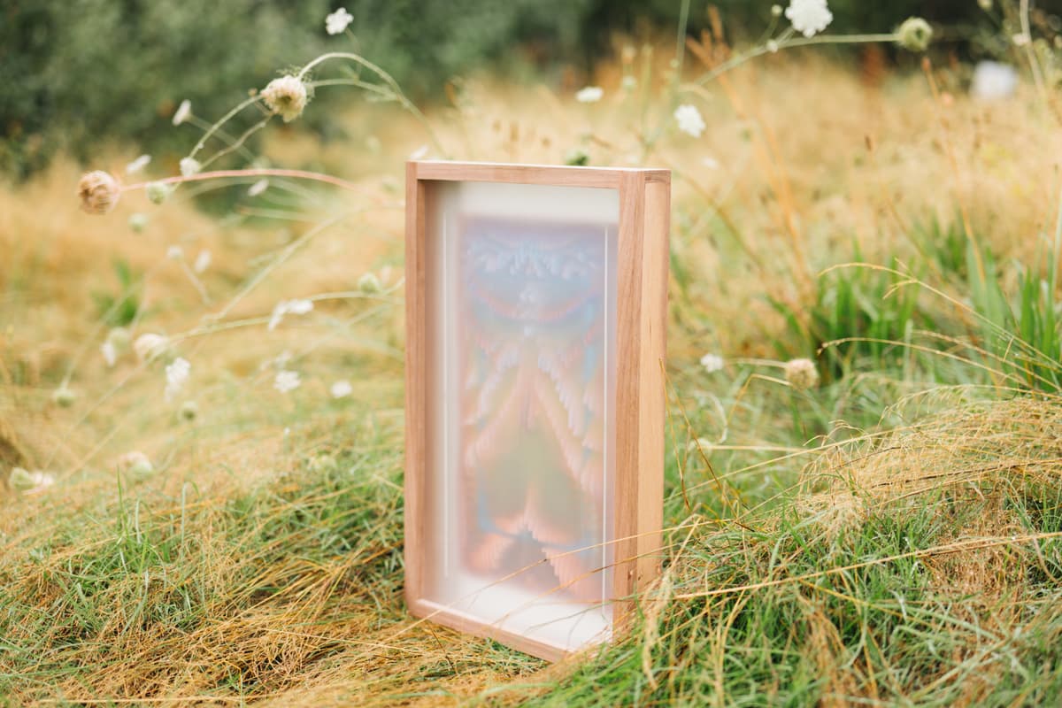 Art Blocks | Generative digital art